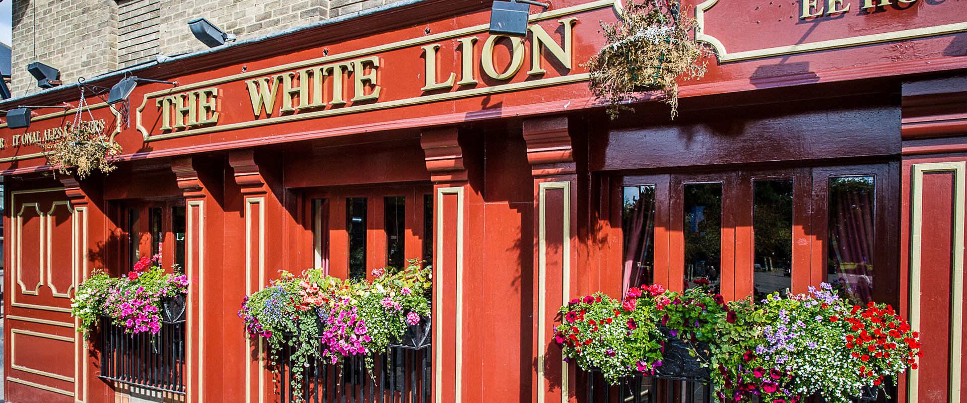 The White Lion